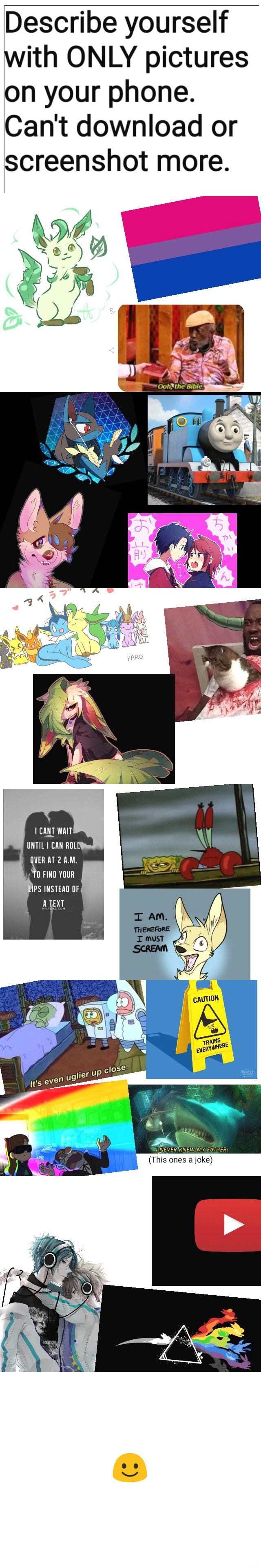 FindThatMeme - Meme Describe yourself with ONLY pictures on your phone ...