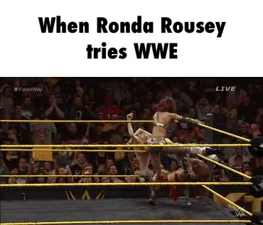 FindThatMeme - Meme When Ronda Rousey tries WWE LIVE When Ronda Rousey ...