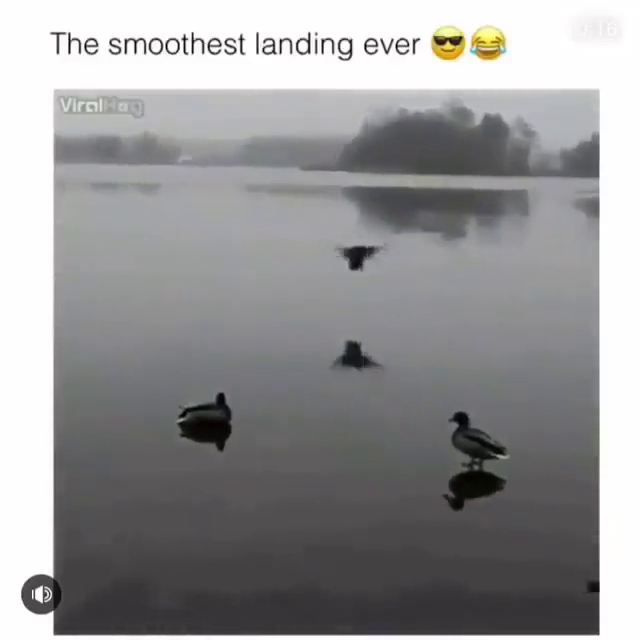 FindThatMeme - Meme The smoothest landing ever Viral lao The smoothest ...