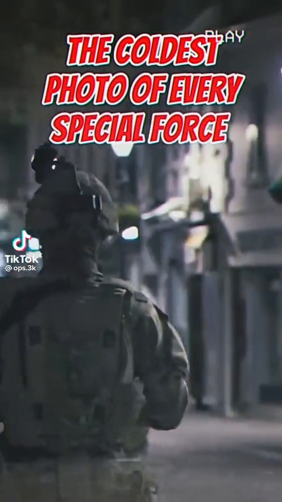 FindThatMeme - Meme bAY THE COLDEST PHOTO OF EVERY SPECIAL FORCE di ...